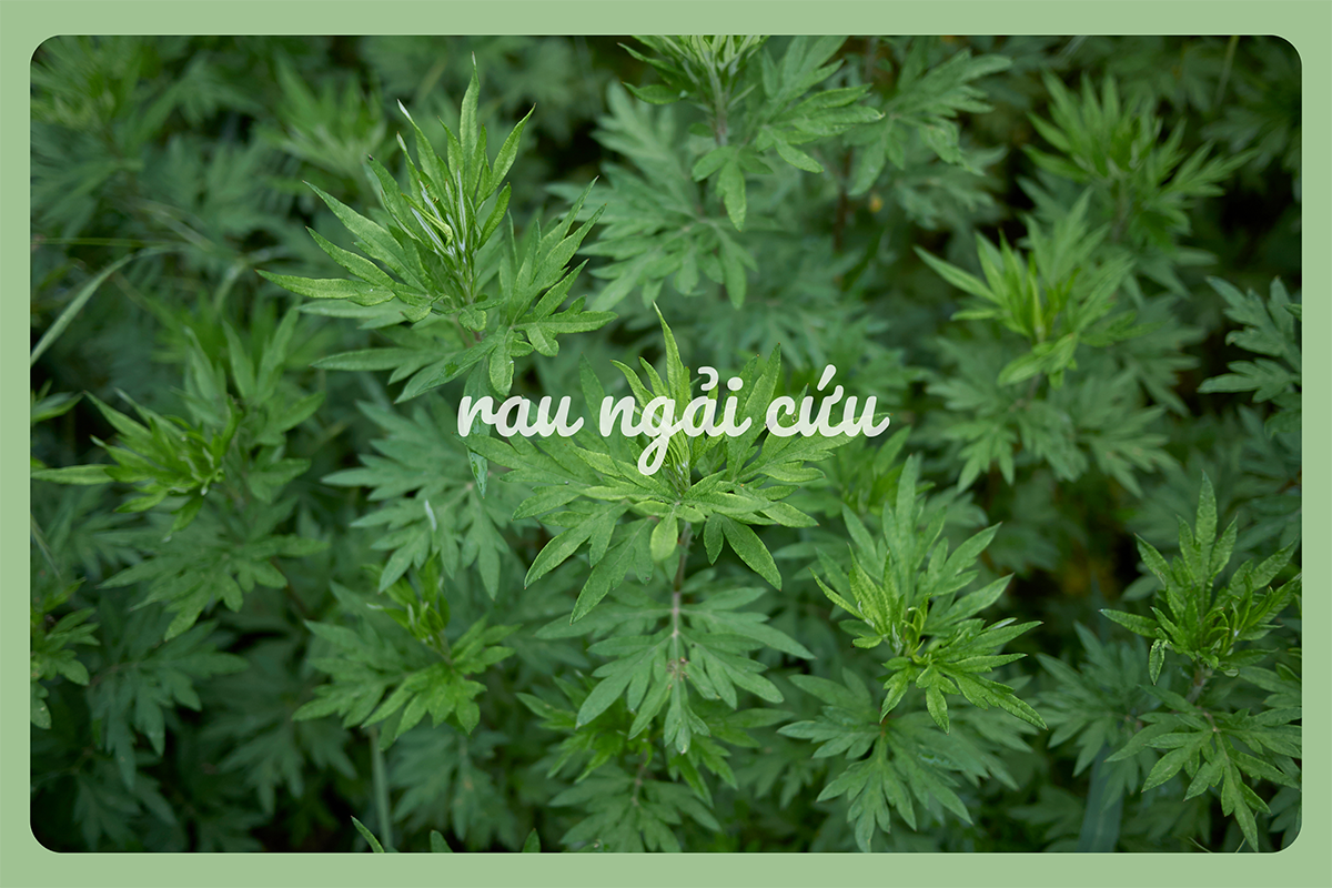 Gọi tên những loại rau bà bầu nên kiêng